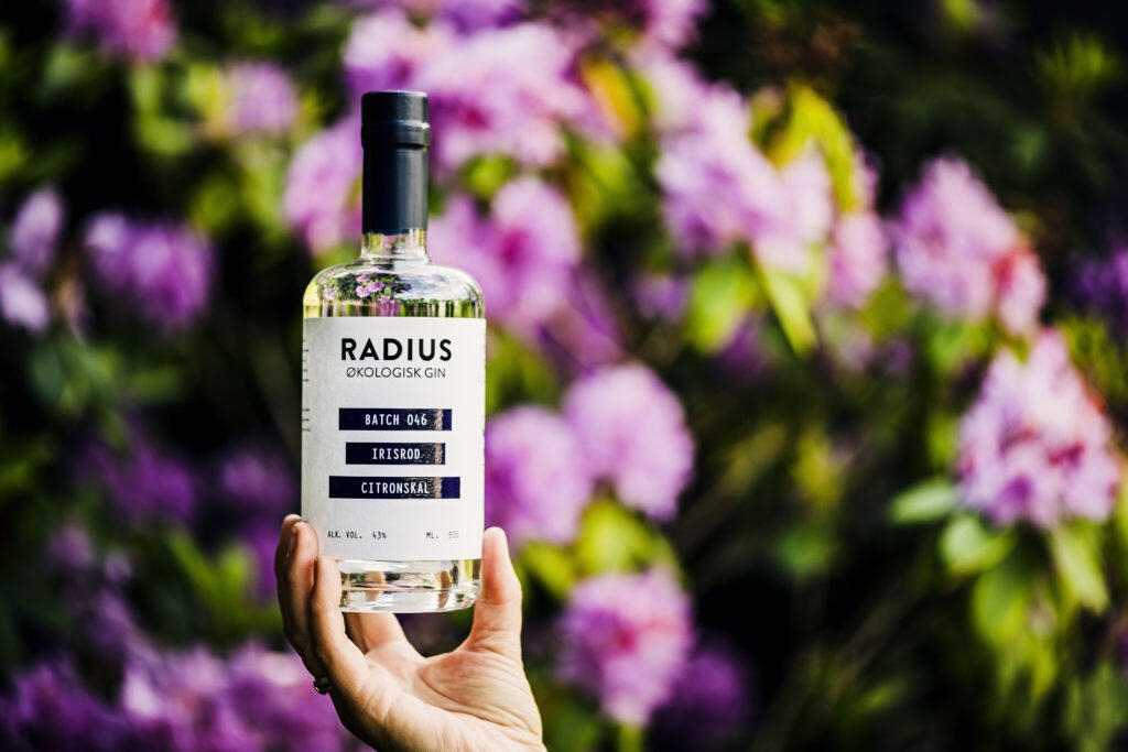 Radius - Batch No. 46